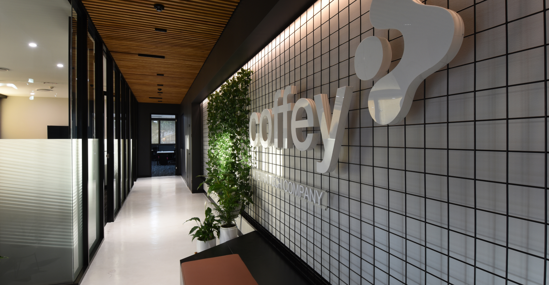 Top 5 Modern Office Ideas and Trends